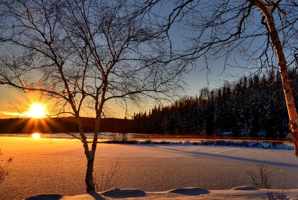 Discover Sarasota, FL: A Guide to its Year-Round Sunshine